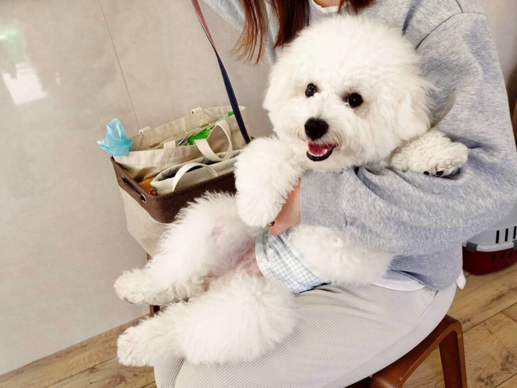 LINE_ALBUM_2026117_260120_1 | 神戸市で子犬のしつけをKDSメソッドで成功へ導きます